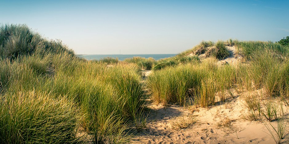SOL Unconference 2024 | SFiO.org